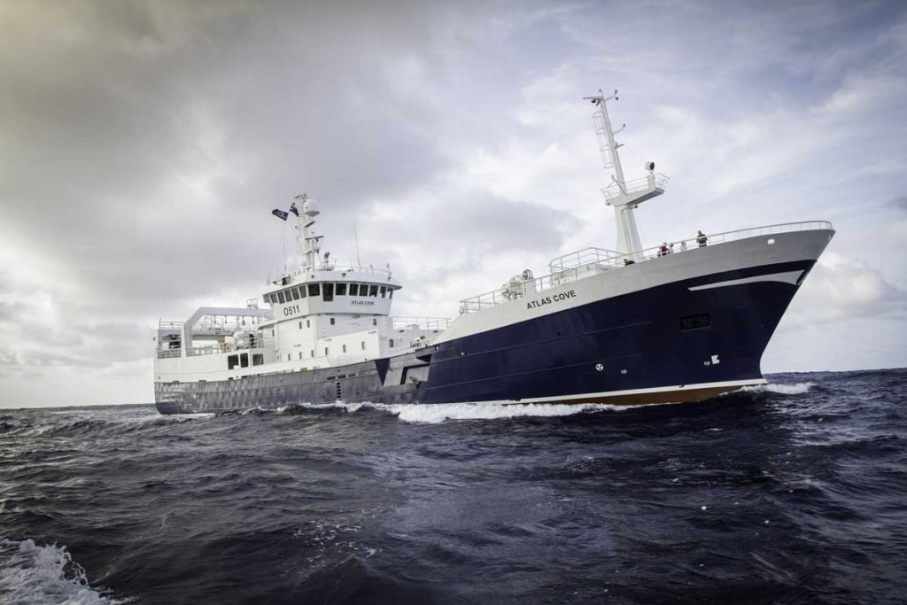 IMC Naval Architects – Trusted Marine Solutions